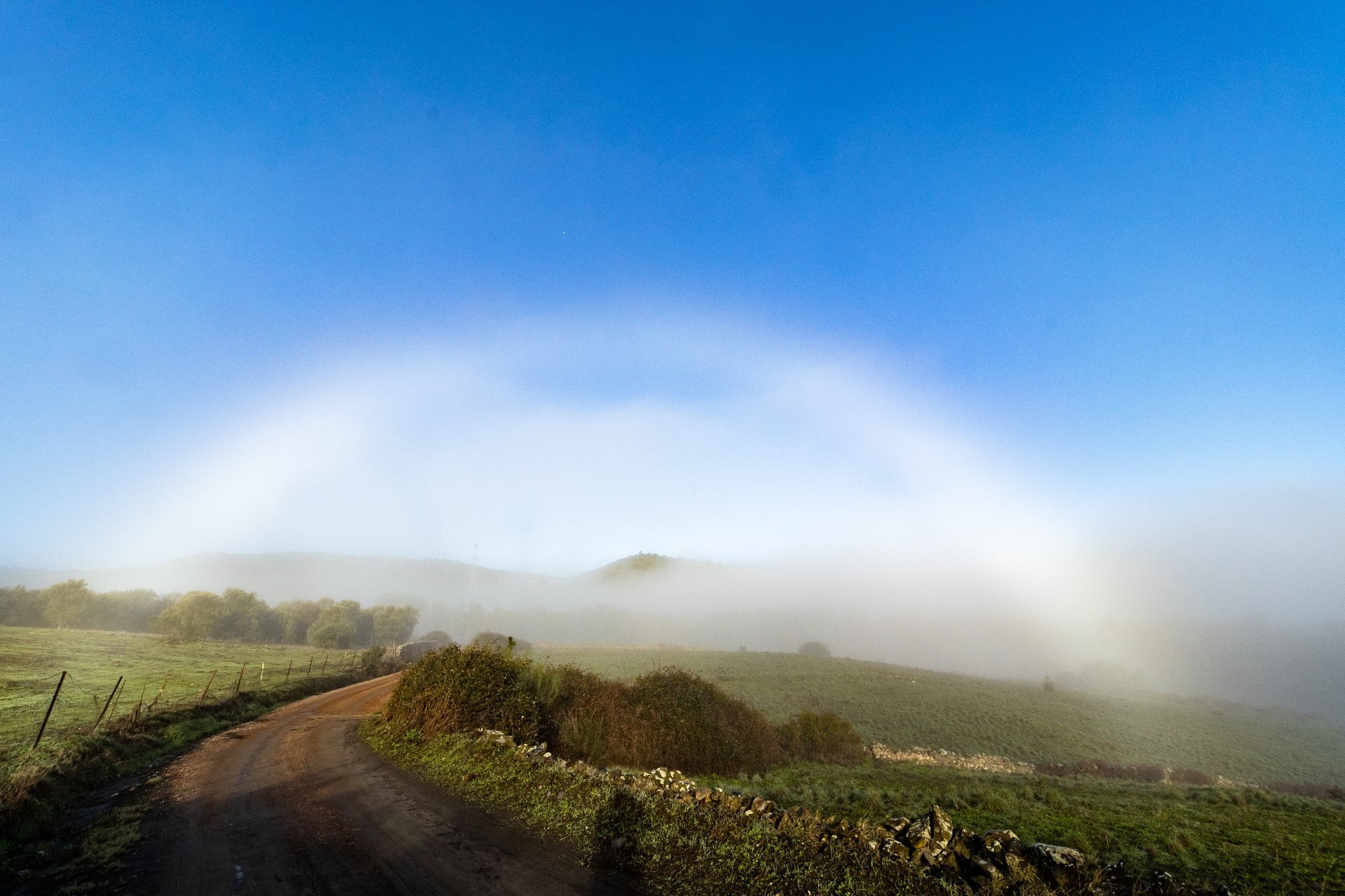 Los arcos de niebla, un fenómeno que surge cuando hay 'niebla fina' | Canal Extremadura