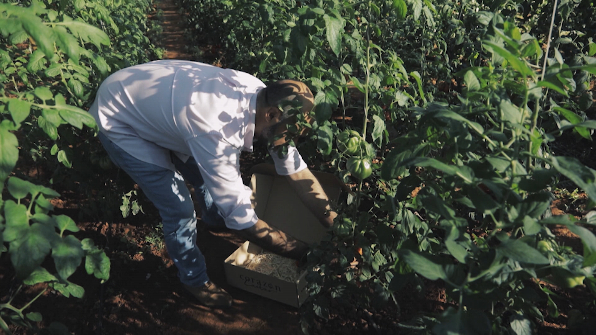La Besana en Verde | Canal Extremadura