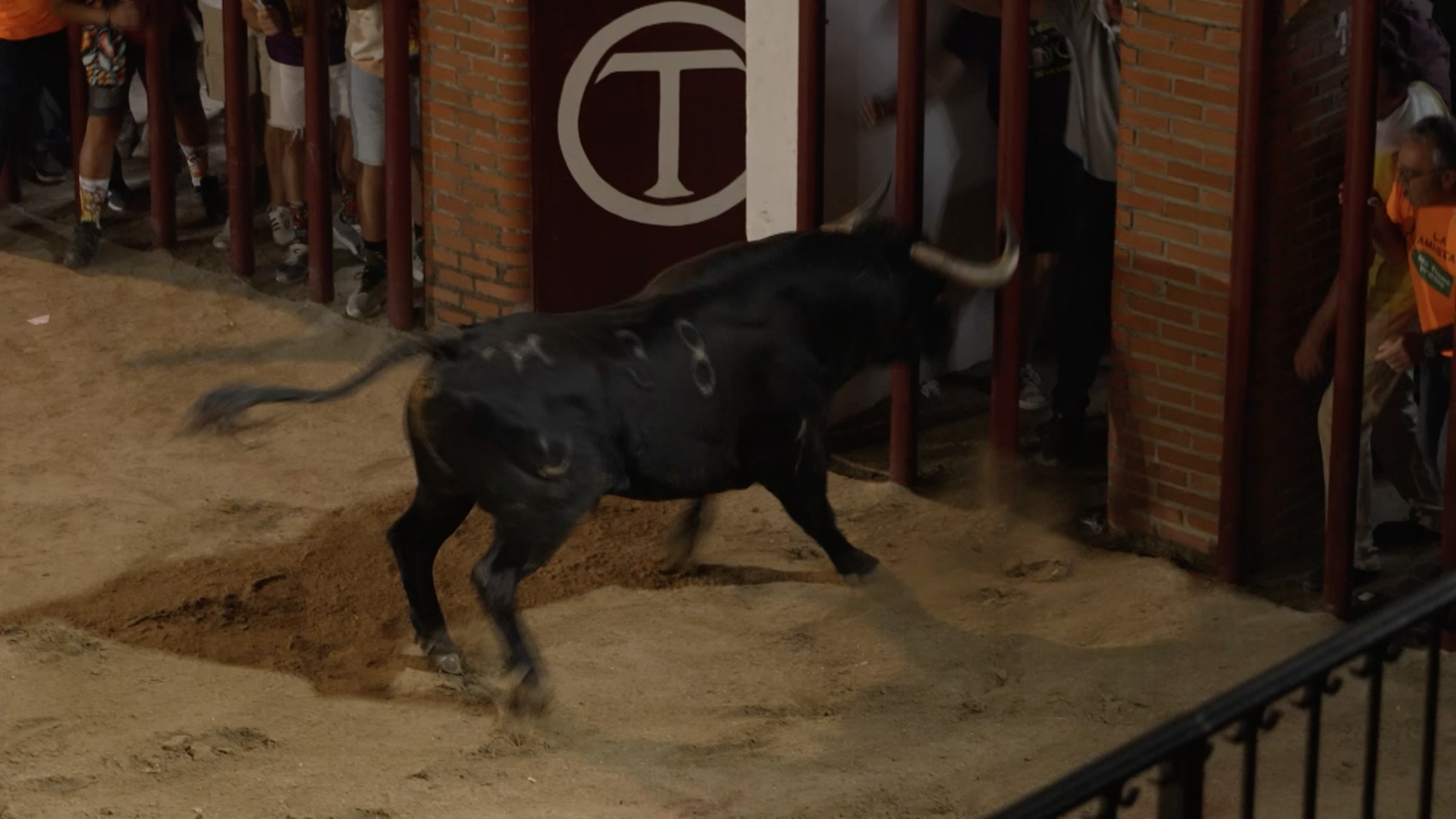 Vuelve el toro en mayúsculas | Canal Extremadura