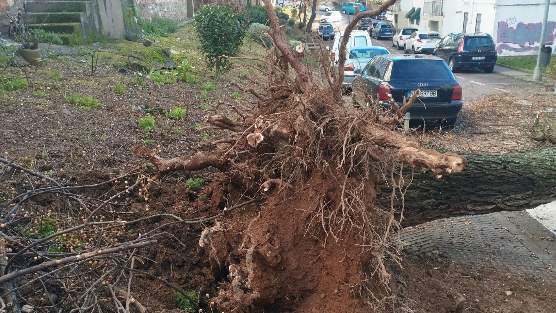 La borrasca ‘Kristin’ deja rachas de 150 km/h y más de 40 litros por ...