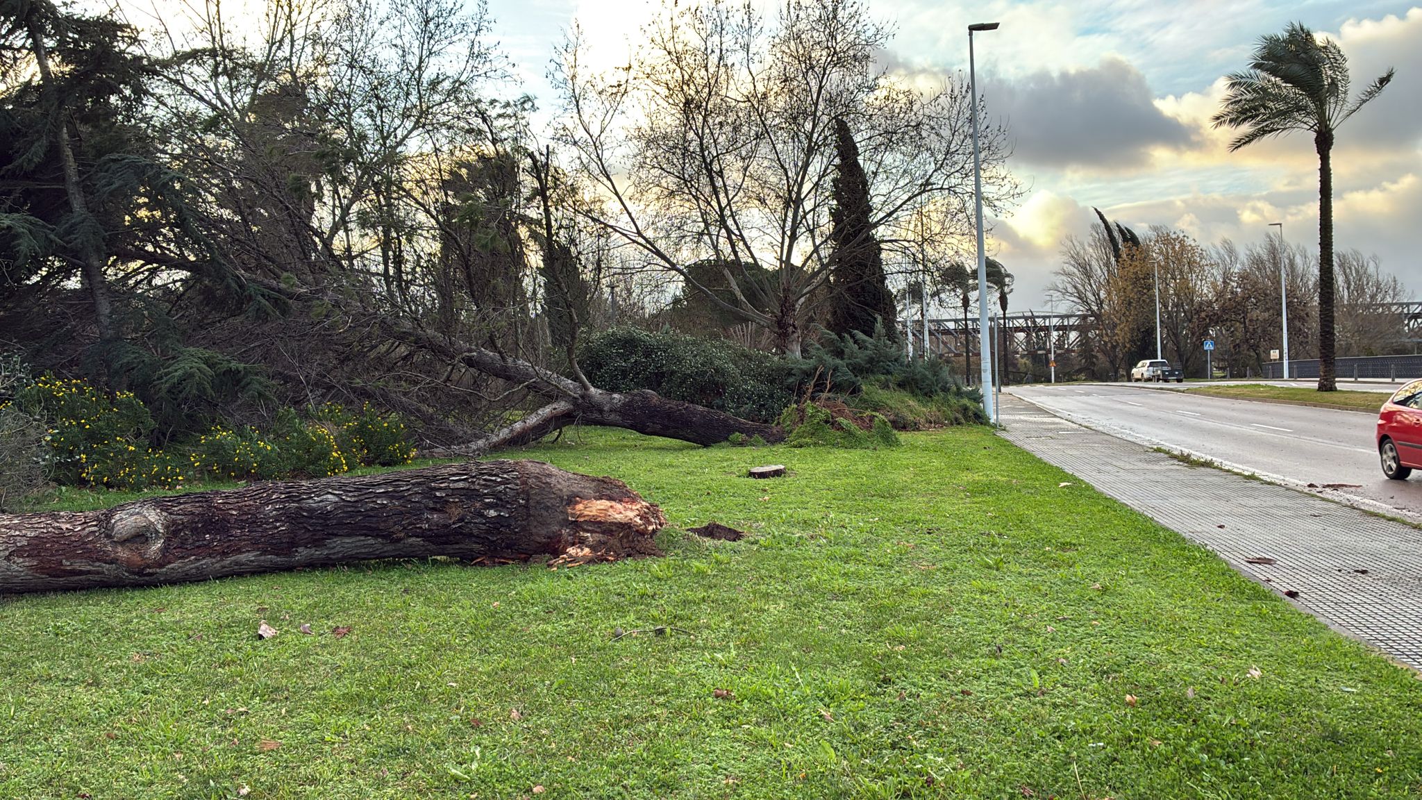 Cortes de líneas telefónicas en Extremadura por las rachas de viento de ...