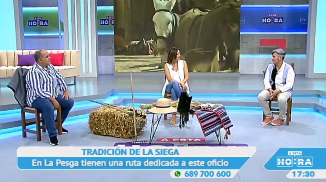 La siega, una tradición que daba de comer a muchas familias | Canal ...