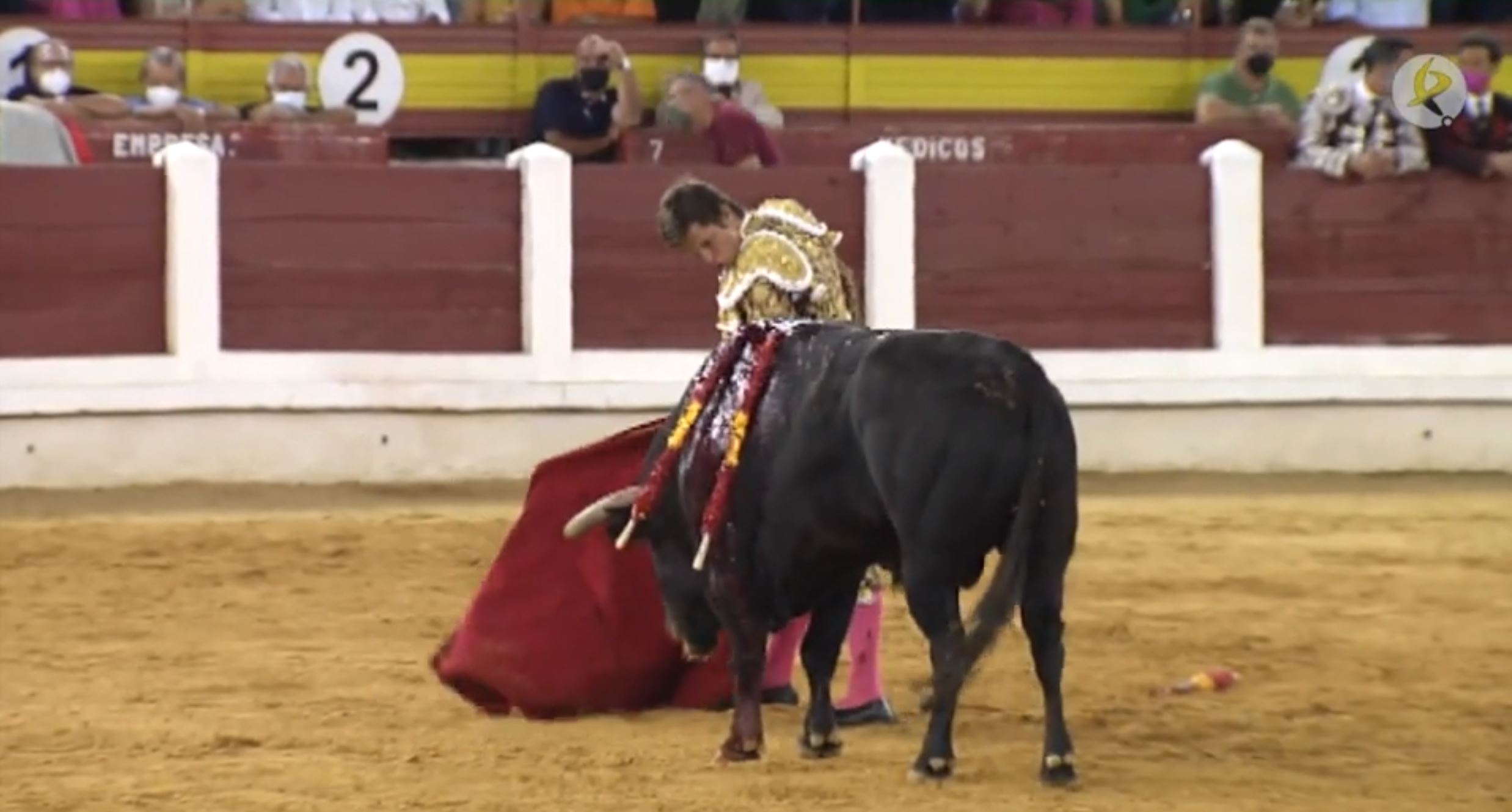 Tierra de Toros (06/09/20) | Canal Extremadura