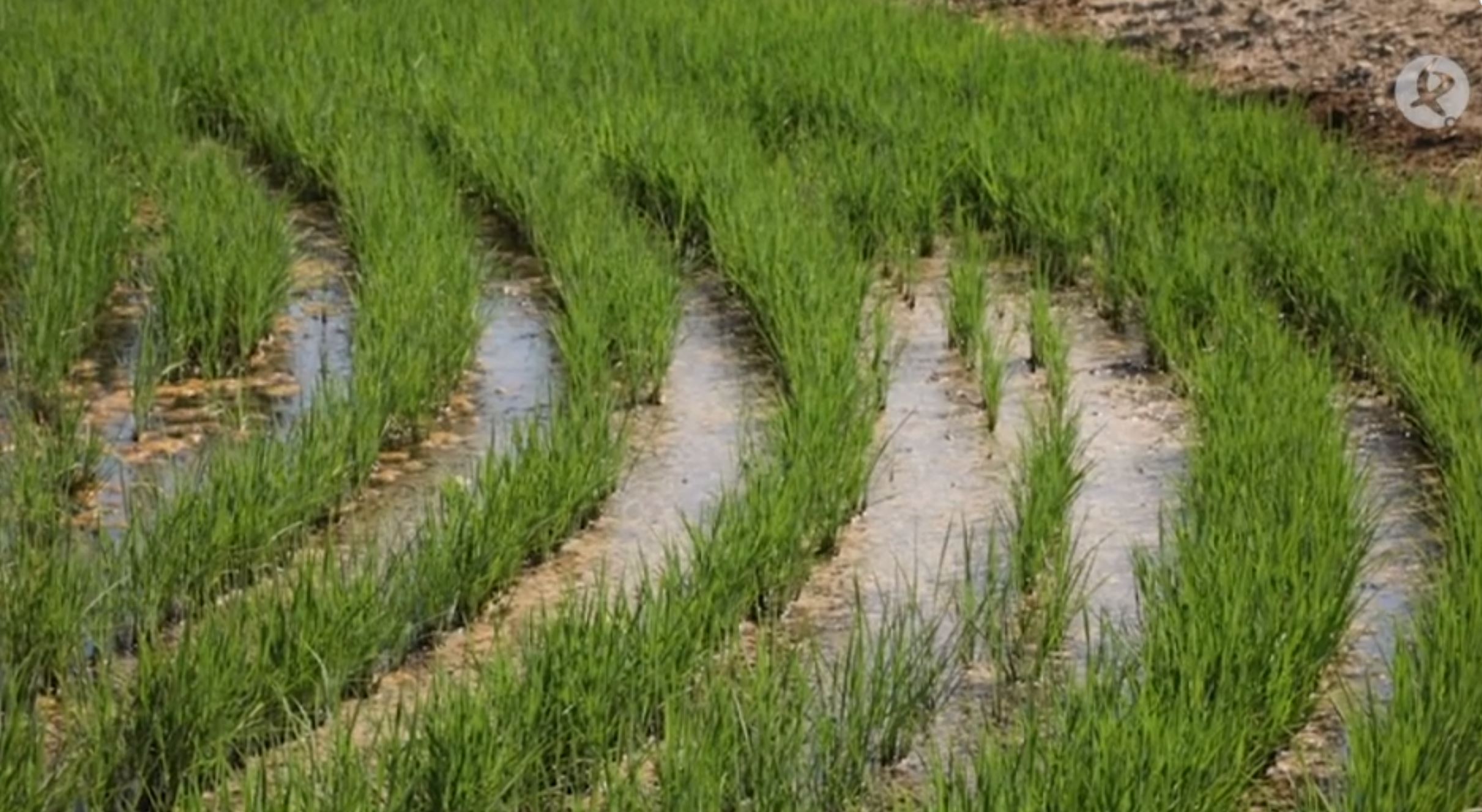La Besana (03/10/20) | Canal Extremadura