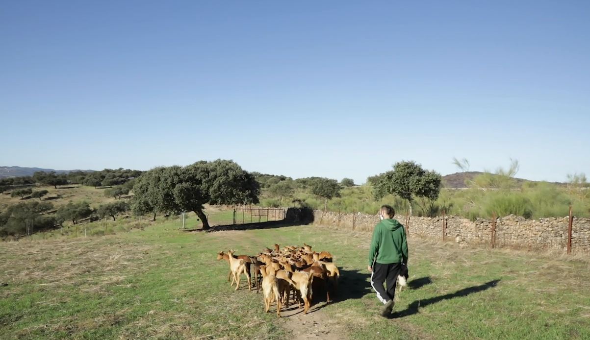 Mamá Cabra, la apuesta ecológica de dos jóvenes emprendedores ...