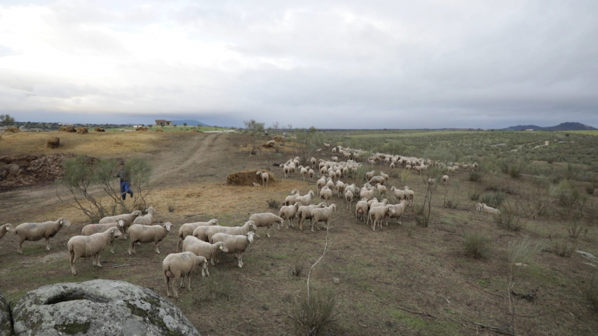 La Besana en Verde (06/02/21) | Canal Extremadura