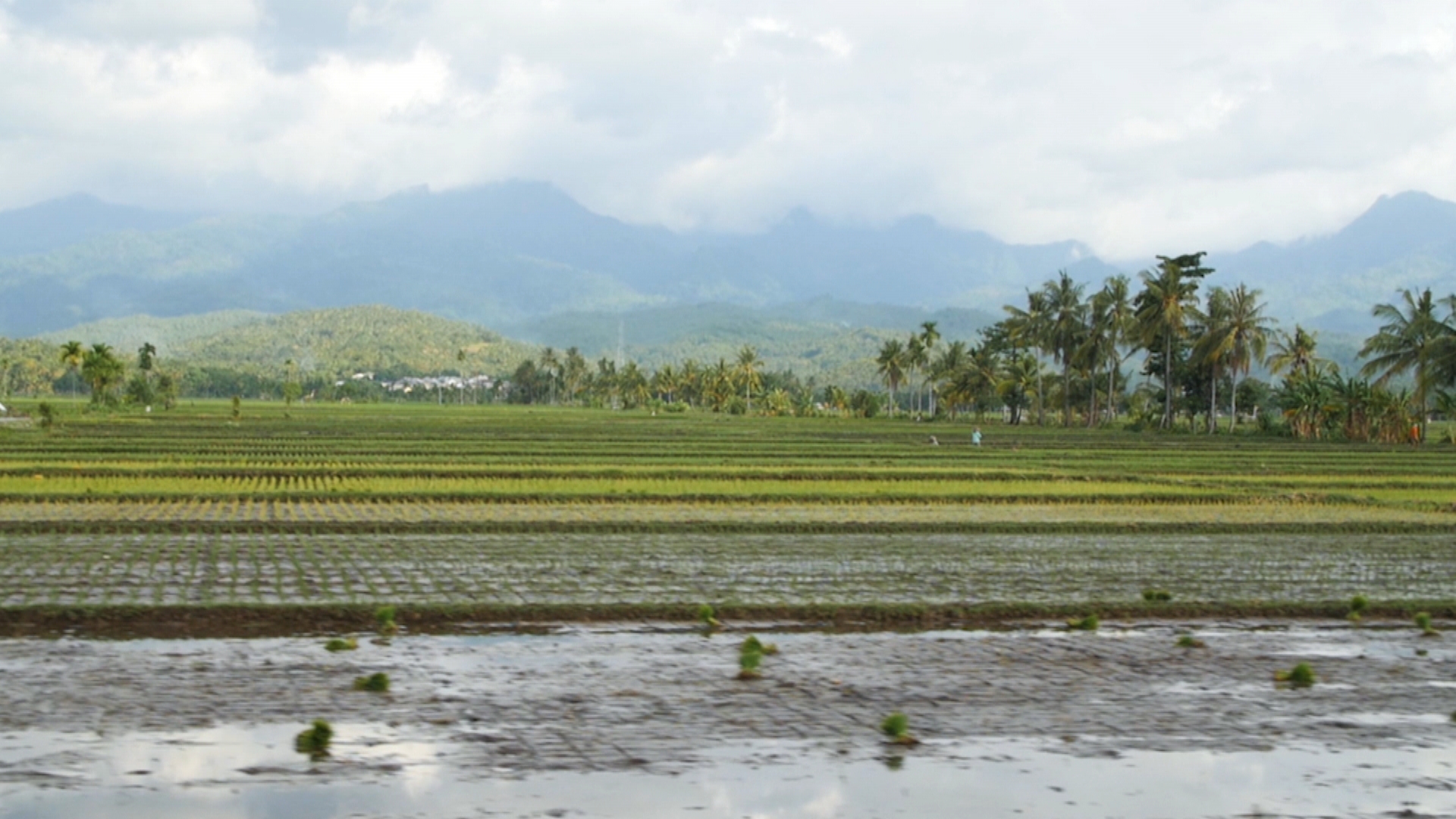 La Besana en Verde (20/02/21) | Canal Extremadura