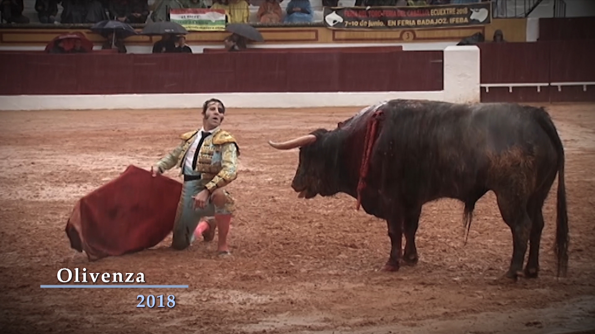 Tierra de Toros | Canal Extremadura