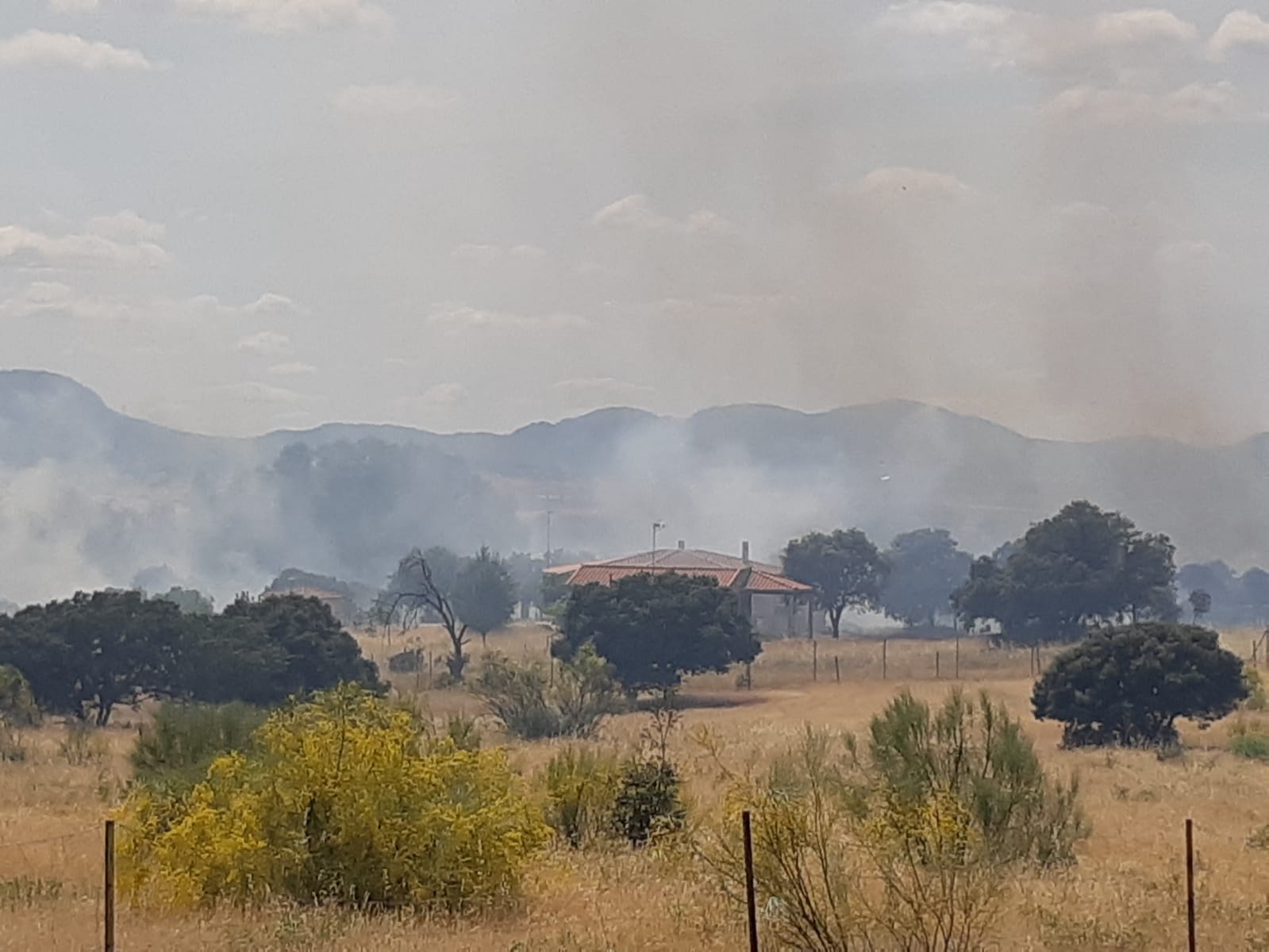 Declarado el nivel 1 de peligrosidad por un incendio forestal en Mérida ...