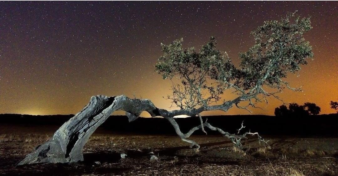 Víctor Campano, el fotógrafo extremeño que detiene la noche | Canal ...