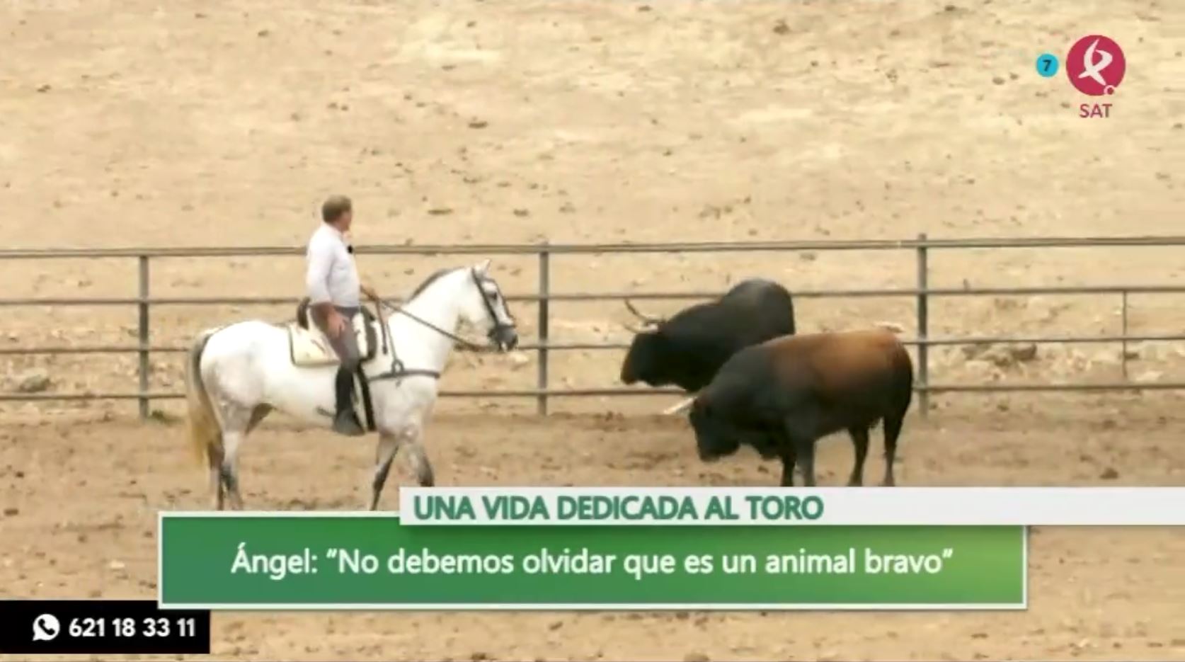 ¿Cómo de importante es la figura del mayoral para el cuidado de los ...