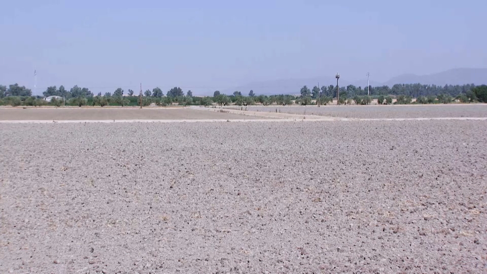 "El campo está frito"