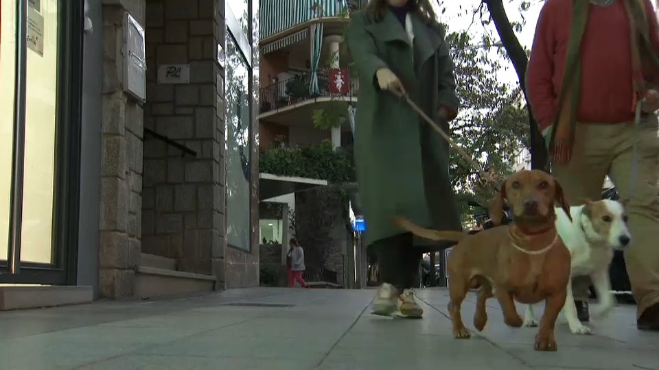 El rescate de Pucho, el milagro de la Navidad | Canal Extremadura