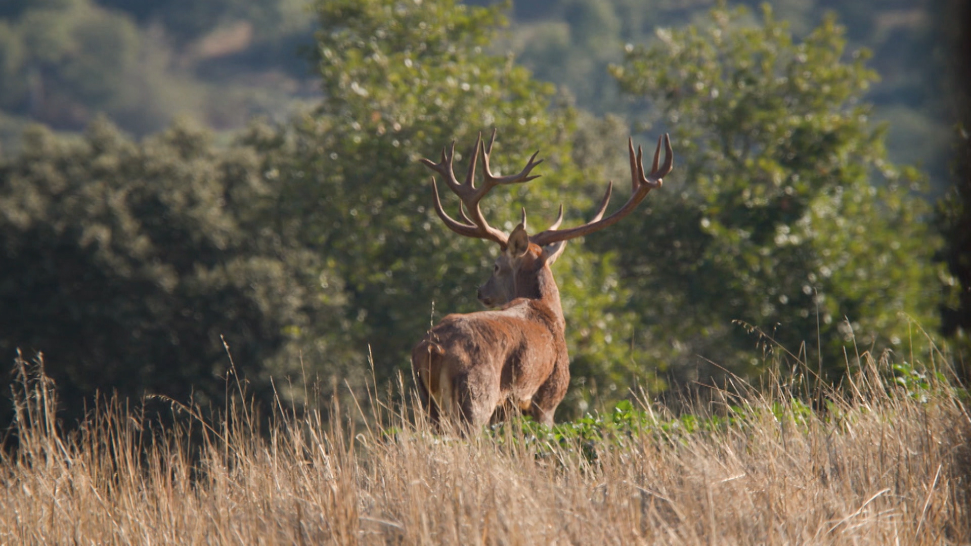 Cazadores de Lances | Canal Extremadura