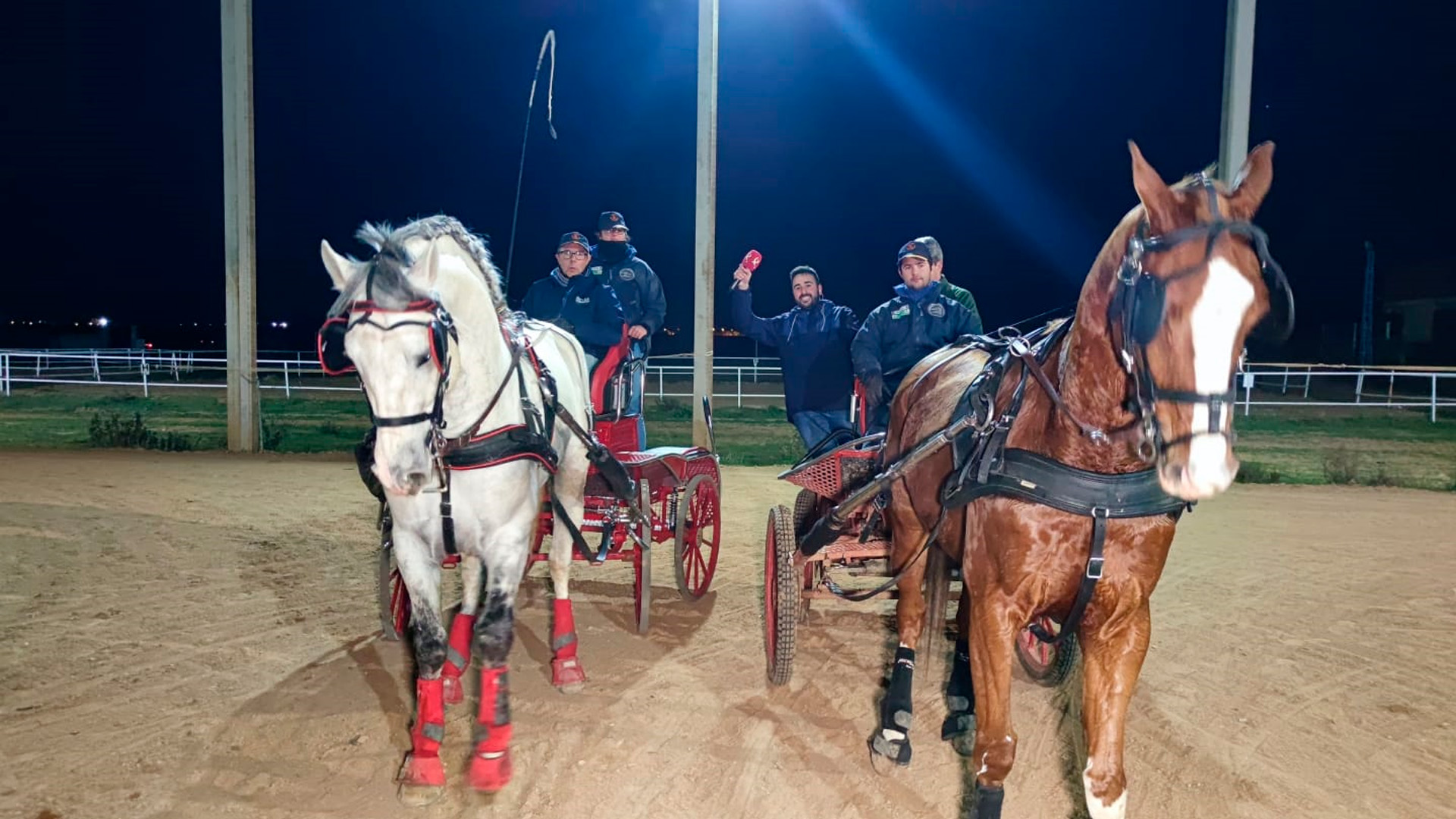 El enganche de caballos "engancha" a padre e hijo en Don Benito | Canal ...