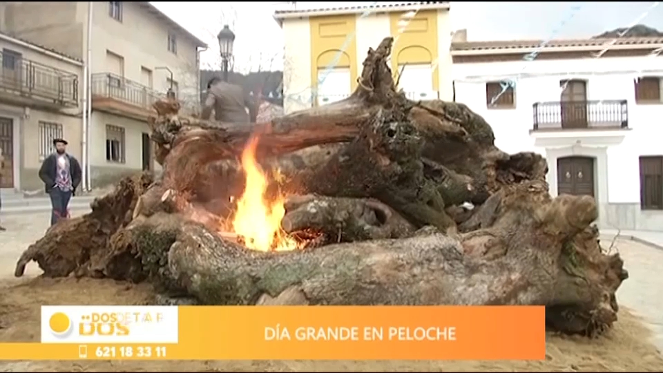 Peloche celebra por primera vez sus fiestas de San Antonio Abad como ...