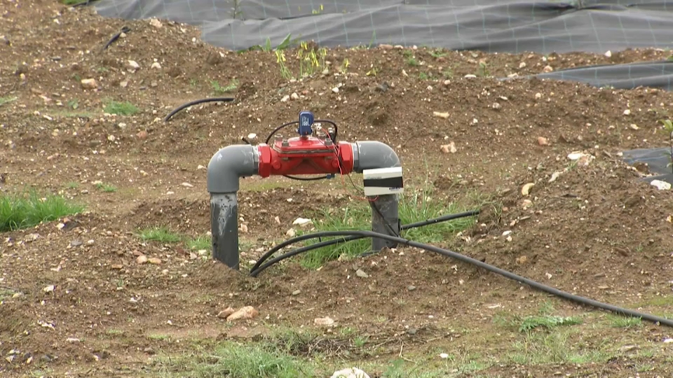 El regadío de Villanueva del Fresno suma 260 hectáreas más | Canal ...