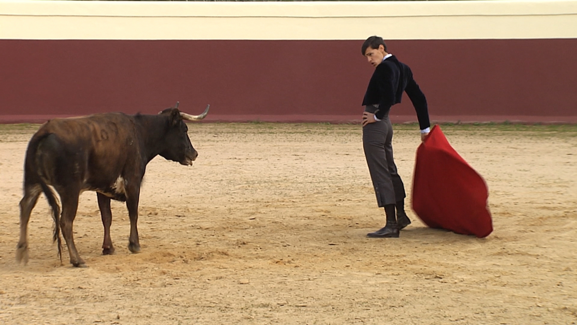 Tierra de Toros | Canal Extremadura