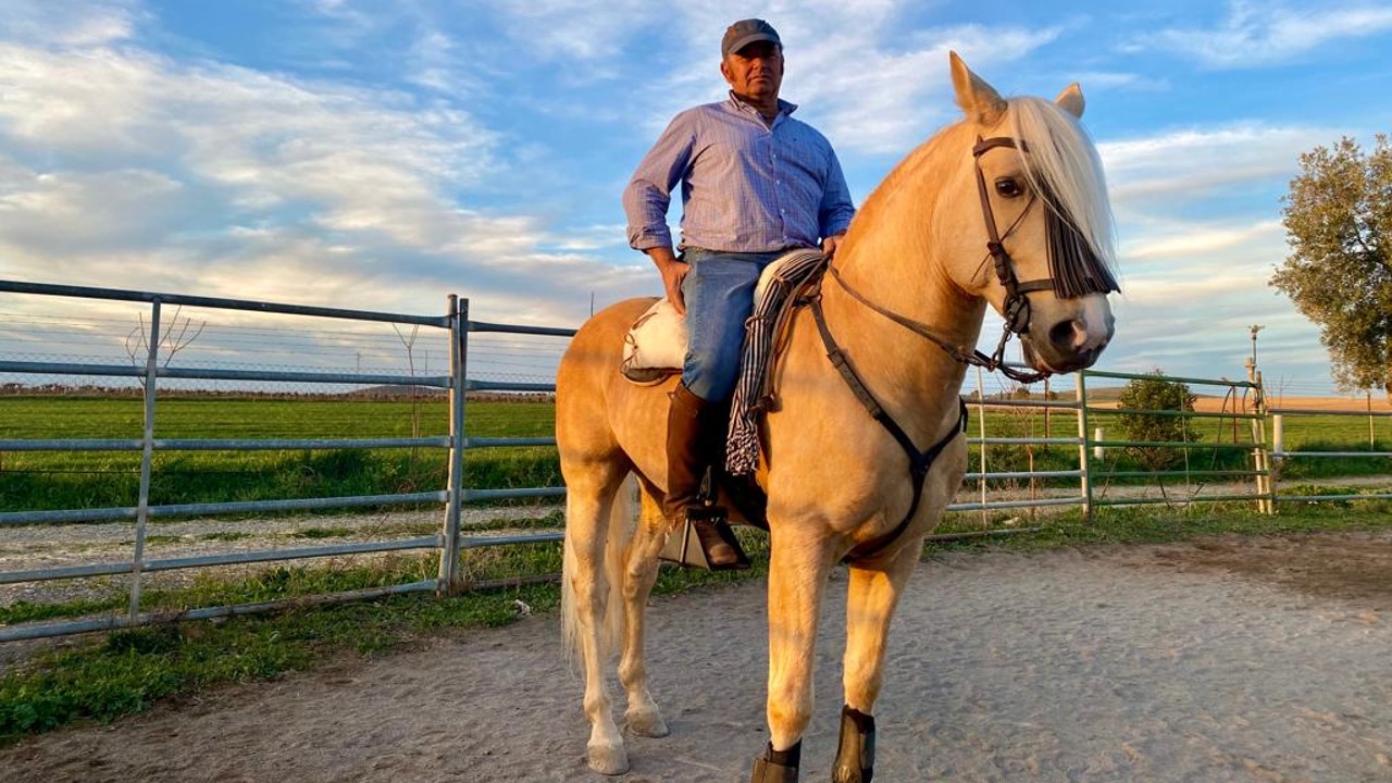 ¿Cómo se prepara a un caballo de rejoneo? | Canal Extremadura