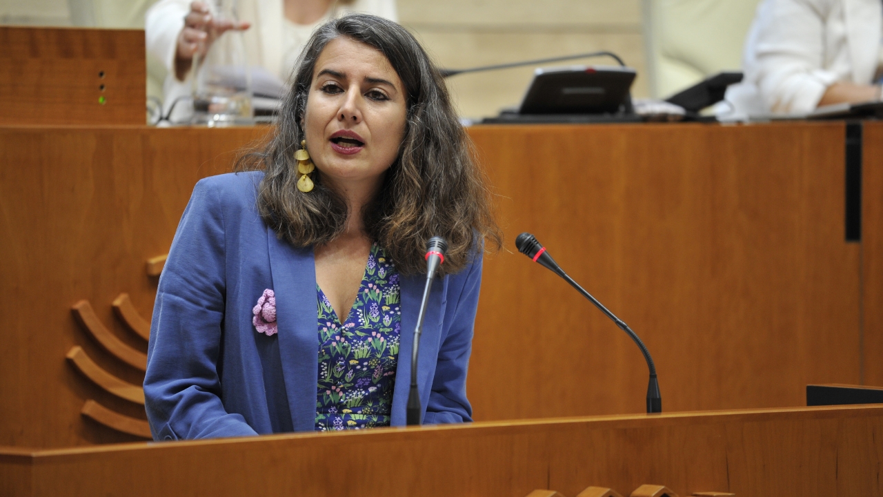 Irene de Miguel critica un "pacto humillante" para una Extremadura que ...