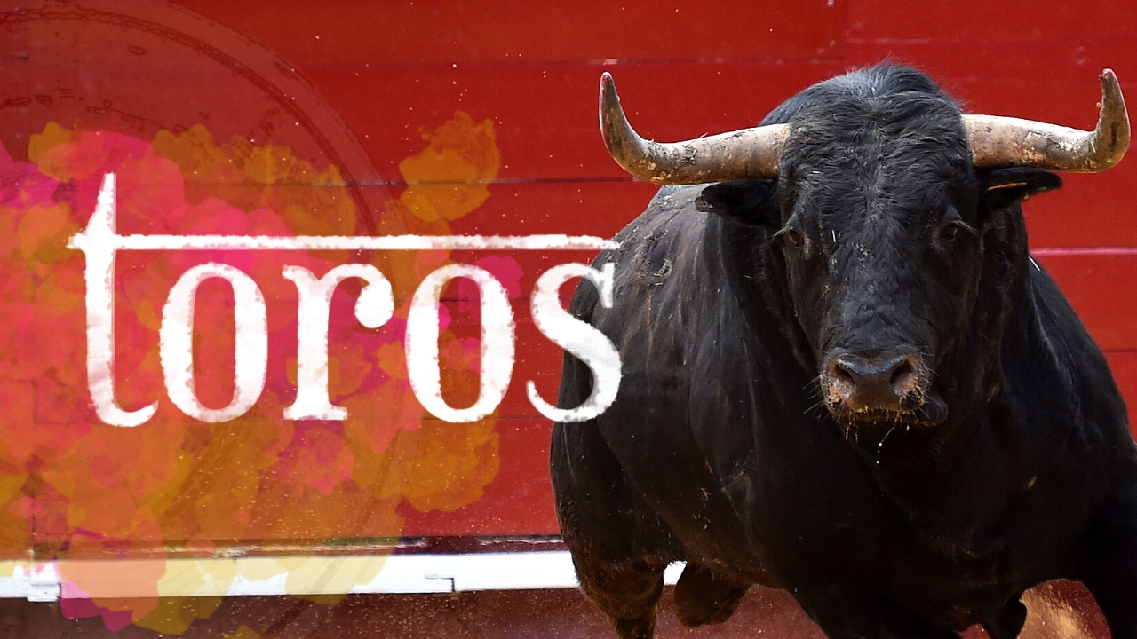 Toros en Canal Extremadura | Canal Extremadura