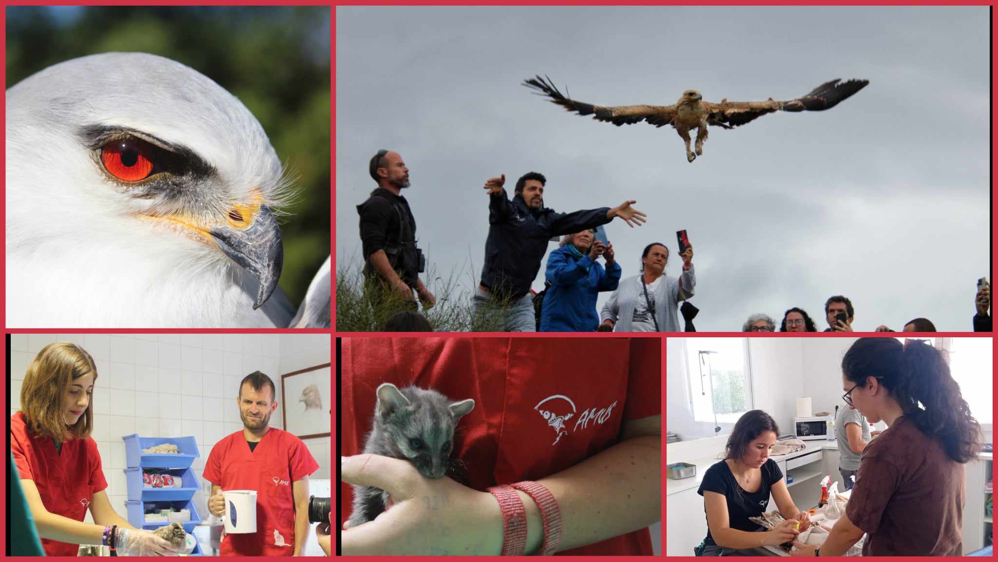 LA ISLA SALVAJE. Cap 6: Sueños de gente despierta | Canal Extremadura