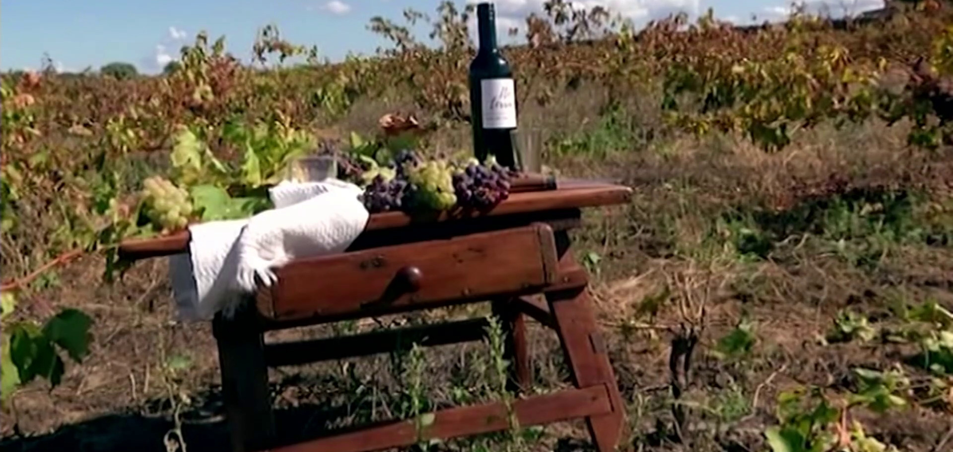 El pitarra que nos une | Canal Extremadura