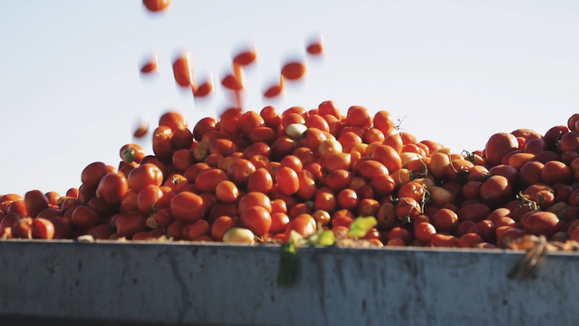 La Besana en Verde | Canal Extremadura