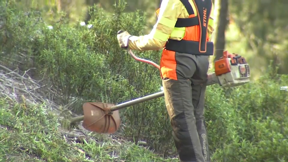 Así se prepara el INFOEX para la temporada alta de incendios forestales