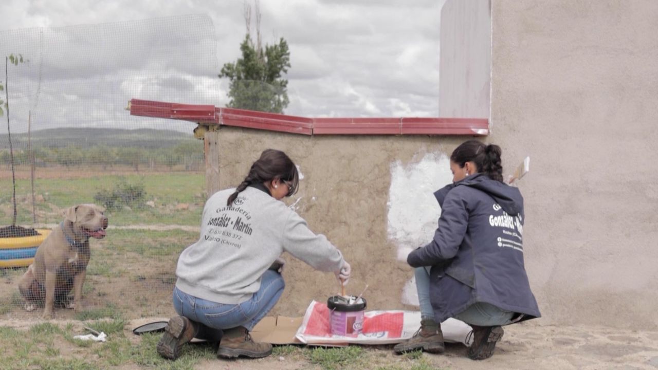 Isabel y Lidia dan las últimas pinceladas al gallinero | Canal Extremadura