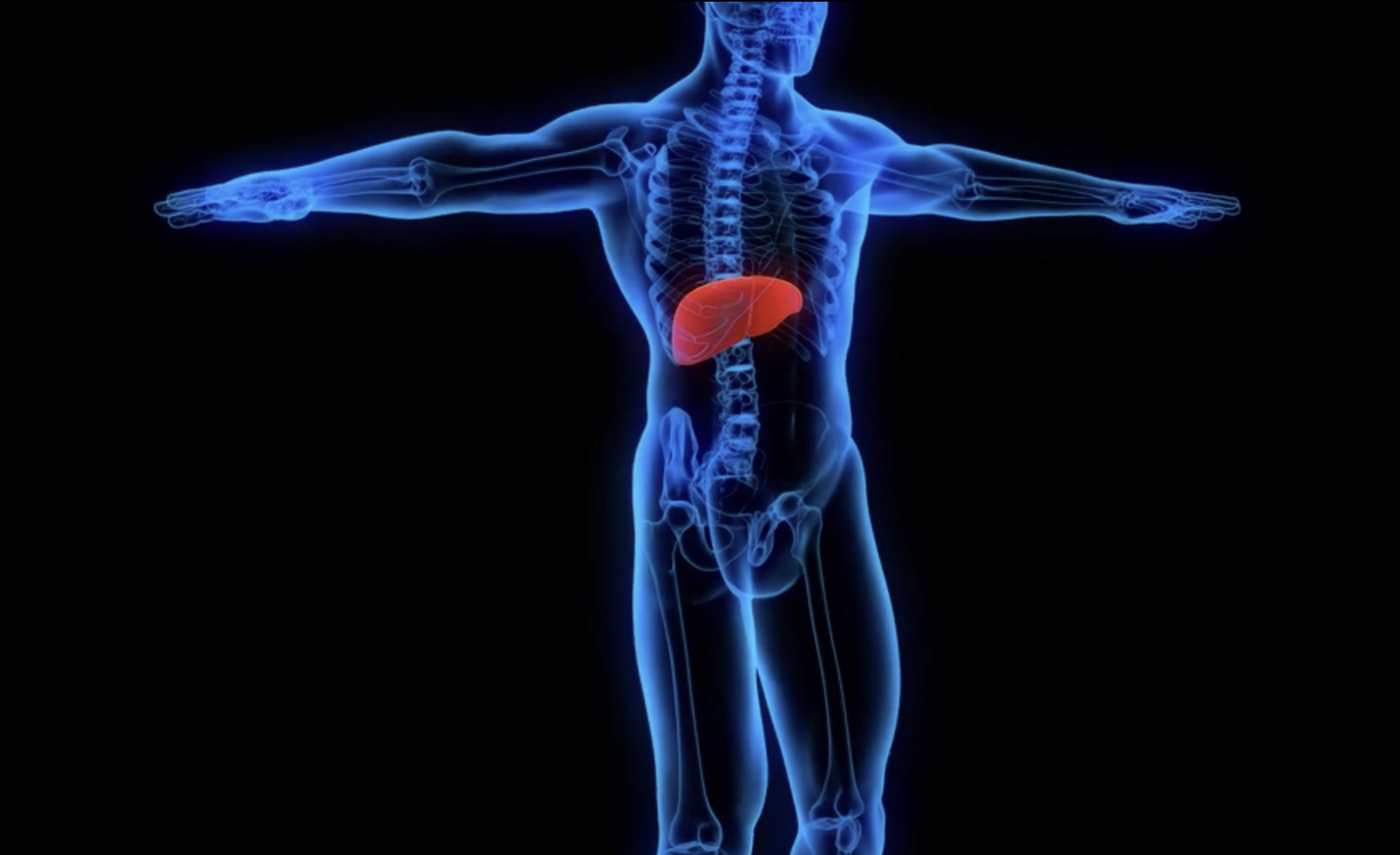 Todo lo que hay que saber sobre las vesícula biliar y las piedras ...