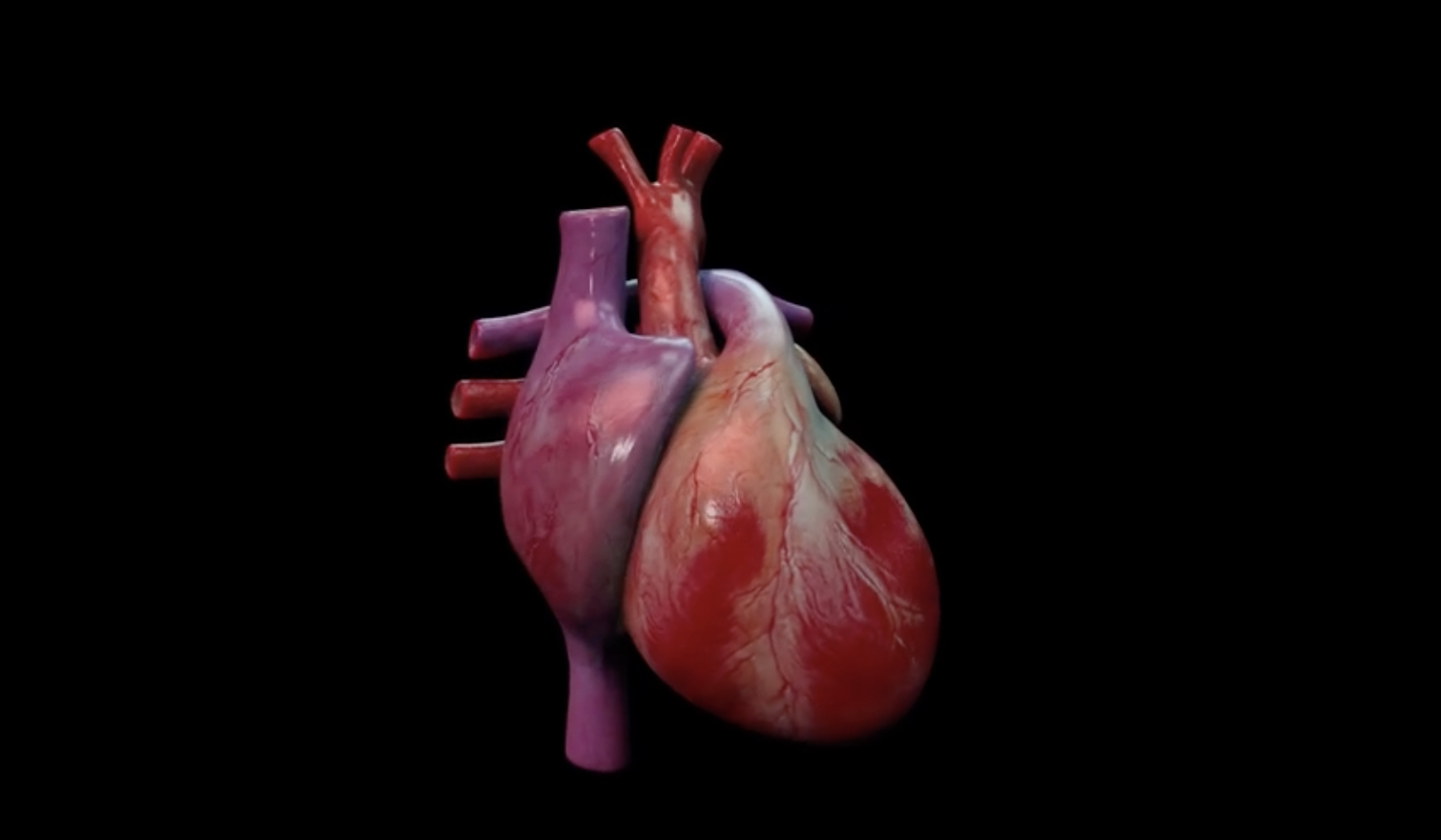 ¿Tienes más de 35 años? Es momento de cuidar tu corazón | Canal Extremadura