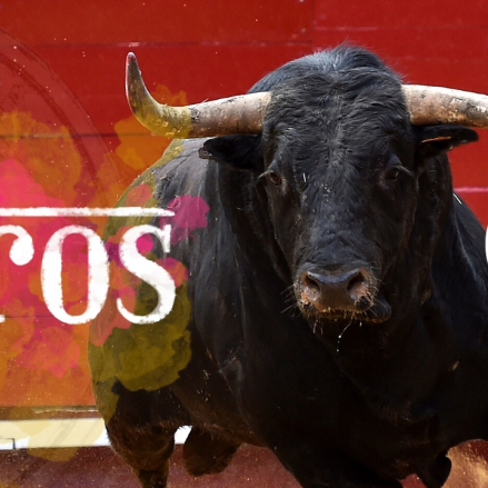 Toros en Canal Extremadura | Canal Extremadura