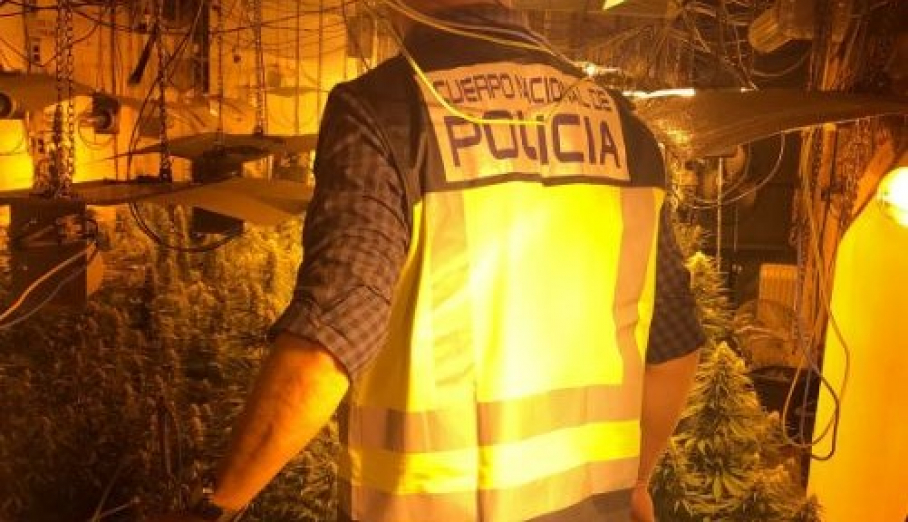 La policía descubre una plantación de marihuana en la misma vivienda del Gurugú donde el año ...