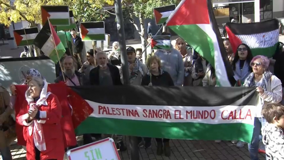 Un centenar de personas se manifiesta en Navalmoral por Palestina ...